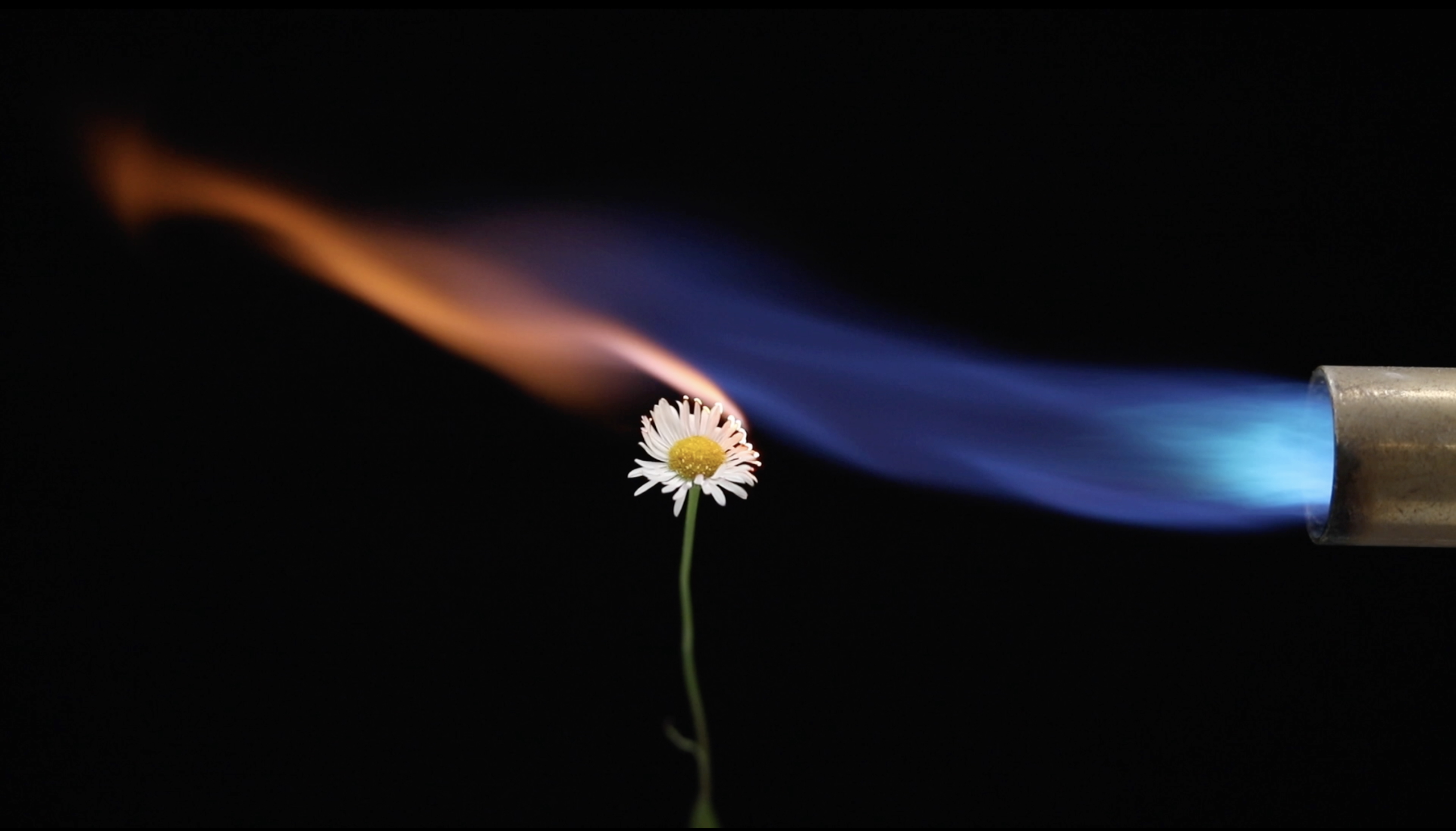 Darren Knight Gallery » Darren Knight Gallery